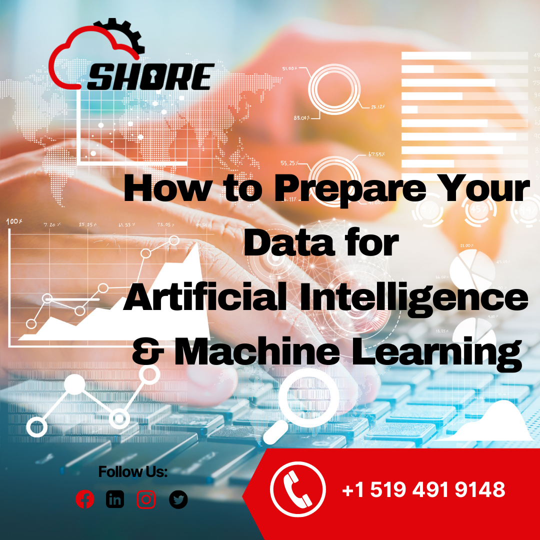 How to Prepare Your Data for Artificial Intelligence & Machine Learning ...